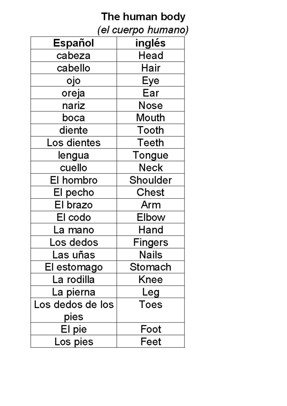 The human body - The human body (el cuerpo humano) Español inglés ...