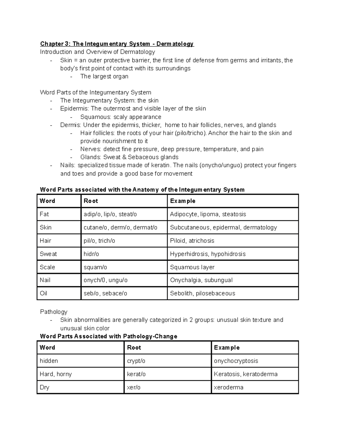 Chapter 3 The Integumentary System - Dermatology - Chapter 3: The ...