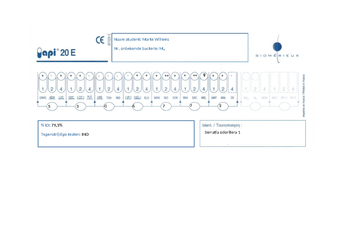 Identificatie van een onbekende bacterie via het minisysteem API 20 E ...