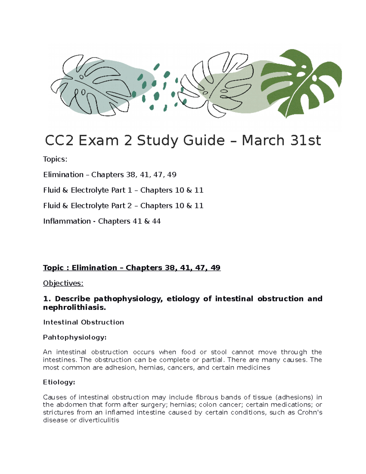 CC2 Exam 2 Study Guide - CC2 Exam 2 Study Guide – March 31st Topics ...