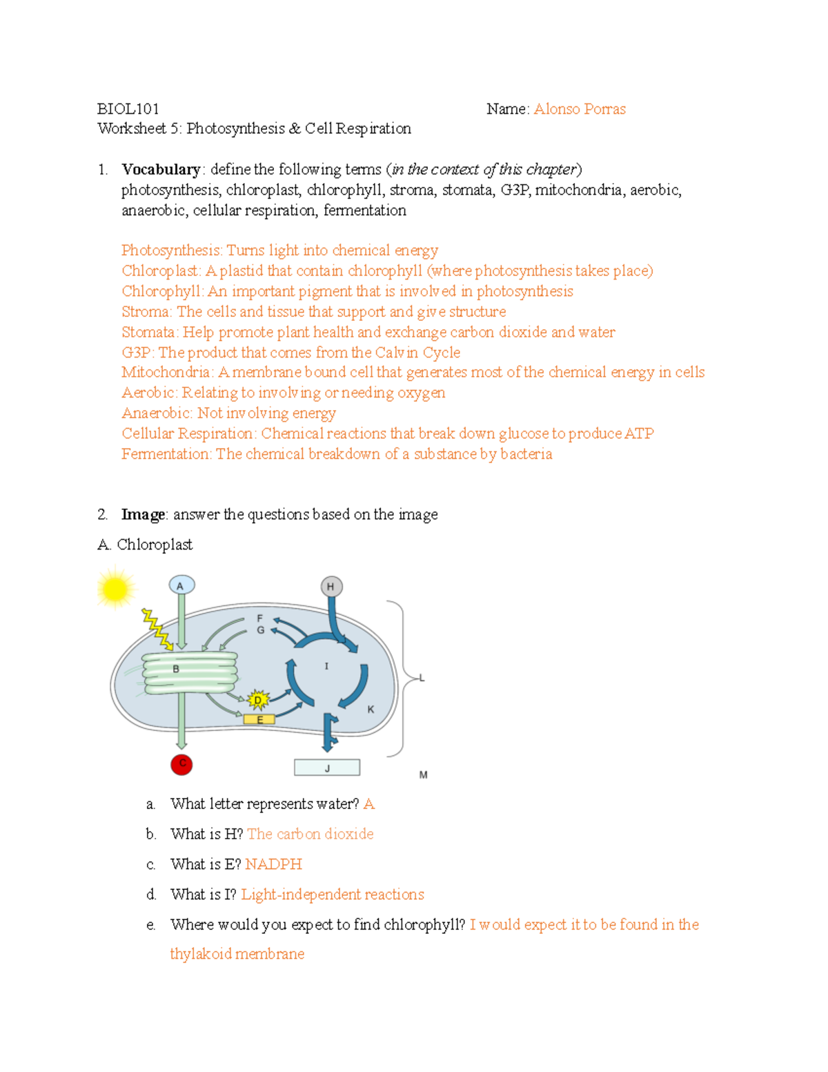 101 WS5 sp23 - Worksheet 5 work - BIOL101 Name: Alonso Porras Worksheet ...