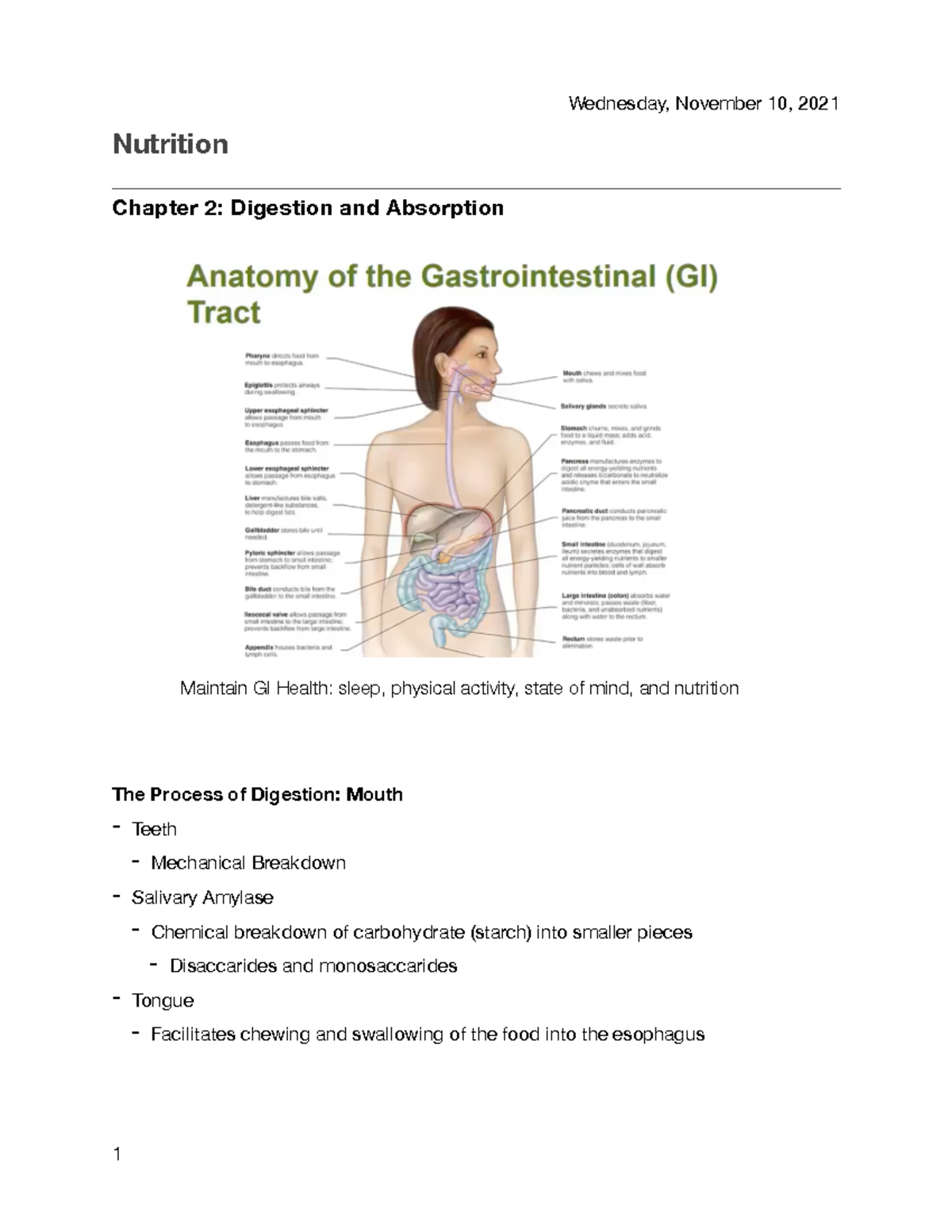 Nutrition Notes - Diane Kraft - Nutrition Chapter 2: Digestion and ...