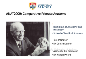 Lecture 3 - Australopithecines - ANAT2009: Comparative Primate Anatomy ...