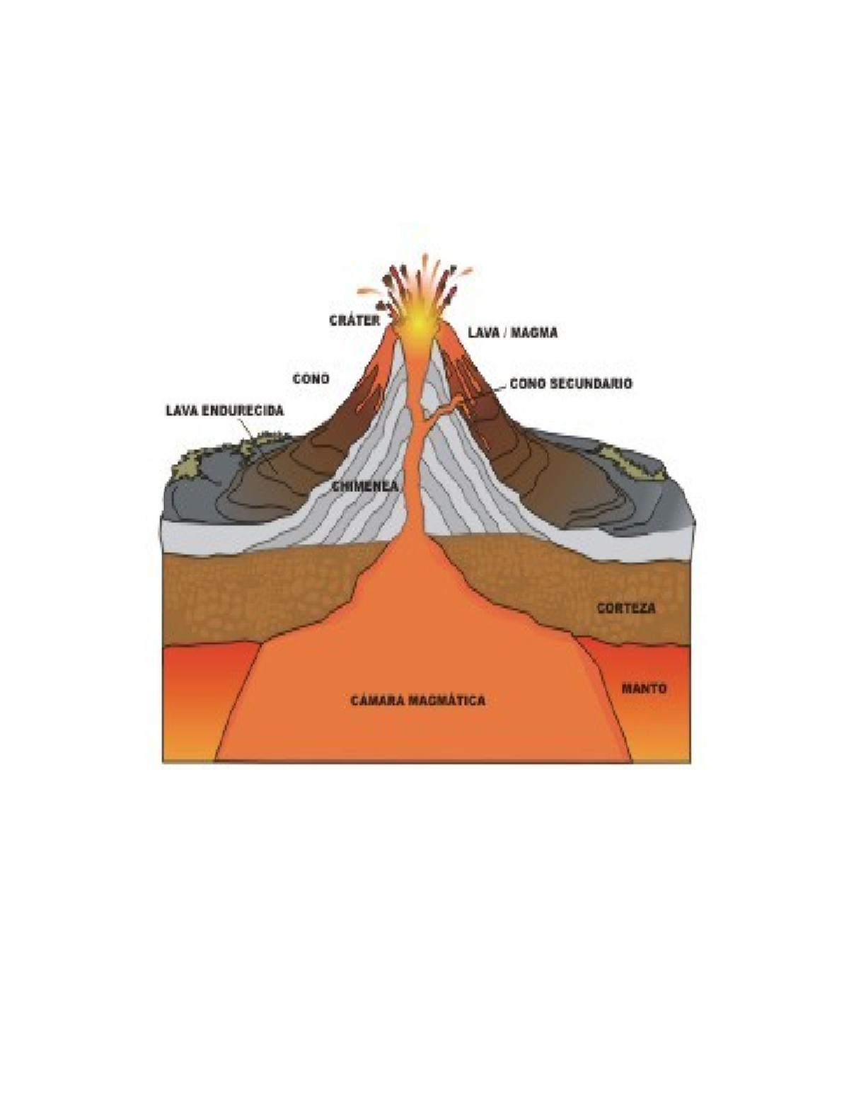 Volcanes y terremotos - repaso - Reporte de lectura - Studocu