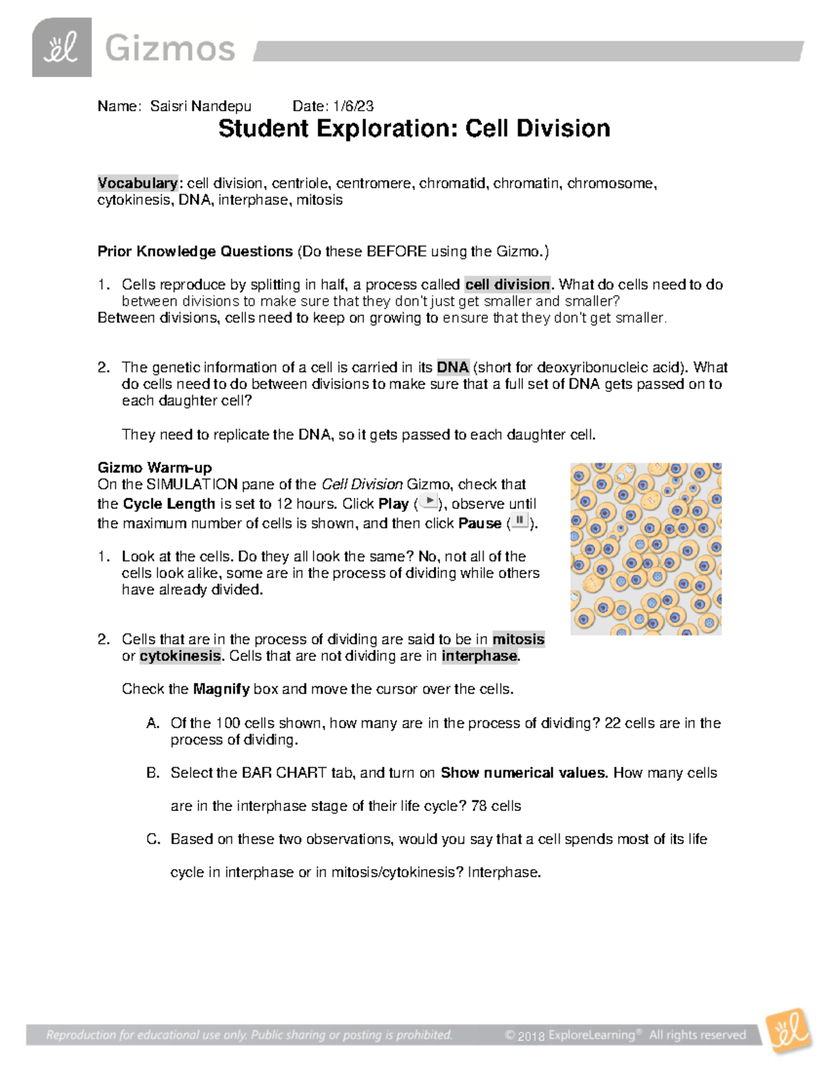 Cell Division Gizmo - Name: Saisri Nandepu Date: 1/6/ Student ...