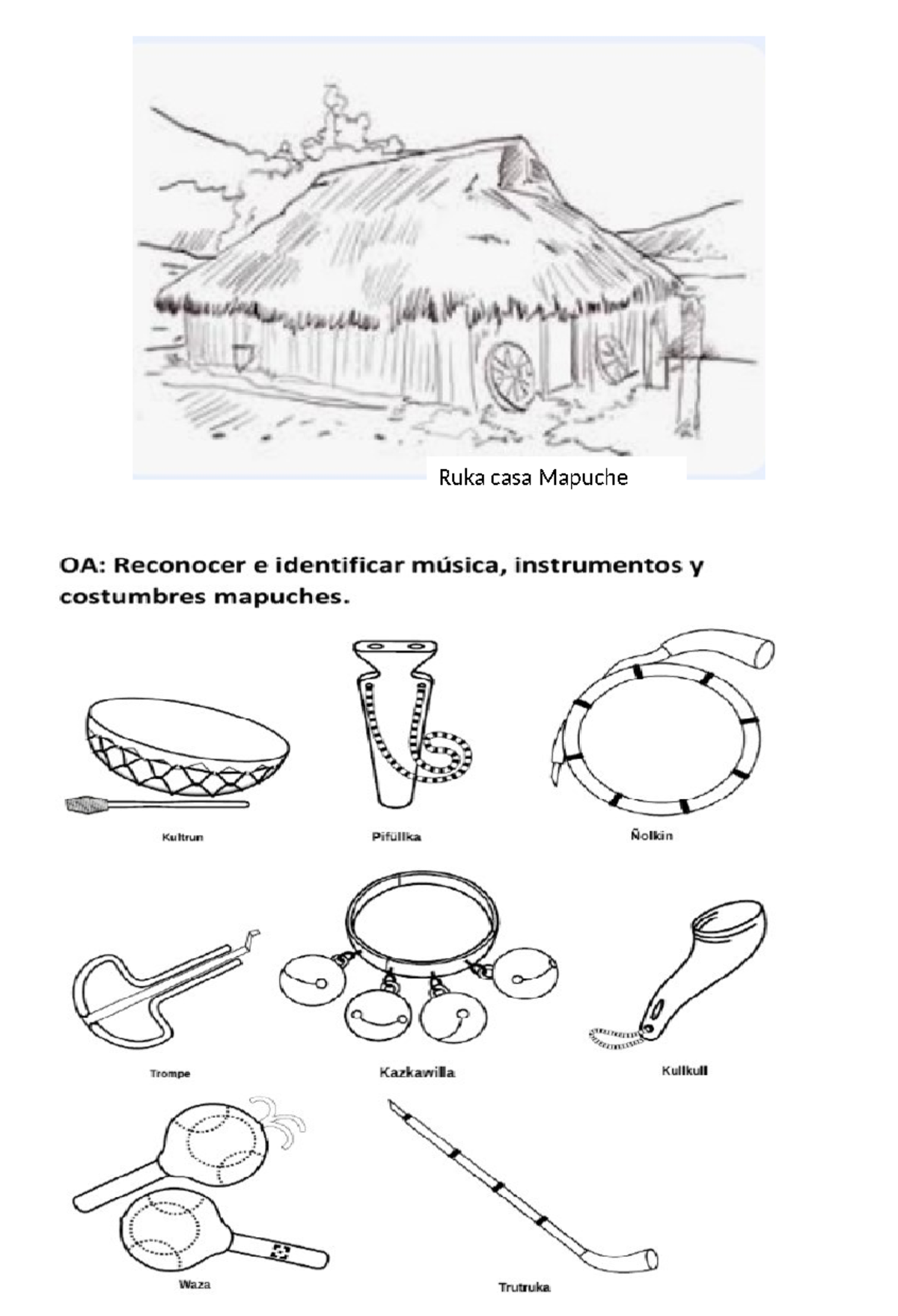 Instrumentos musicales mapuches - Lenguaje - Ruka casa Mapuche OA ...
