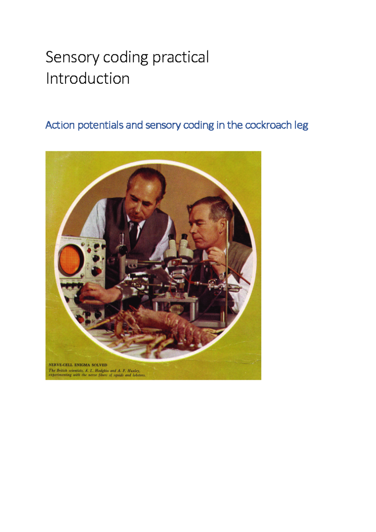 Practical guide 2022 - Sensory coding practical Introduction Action ...