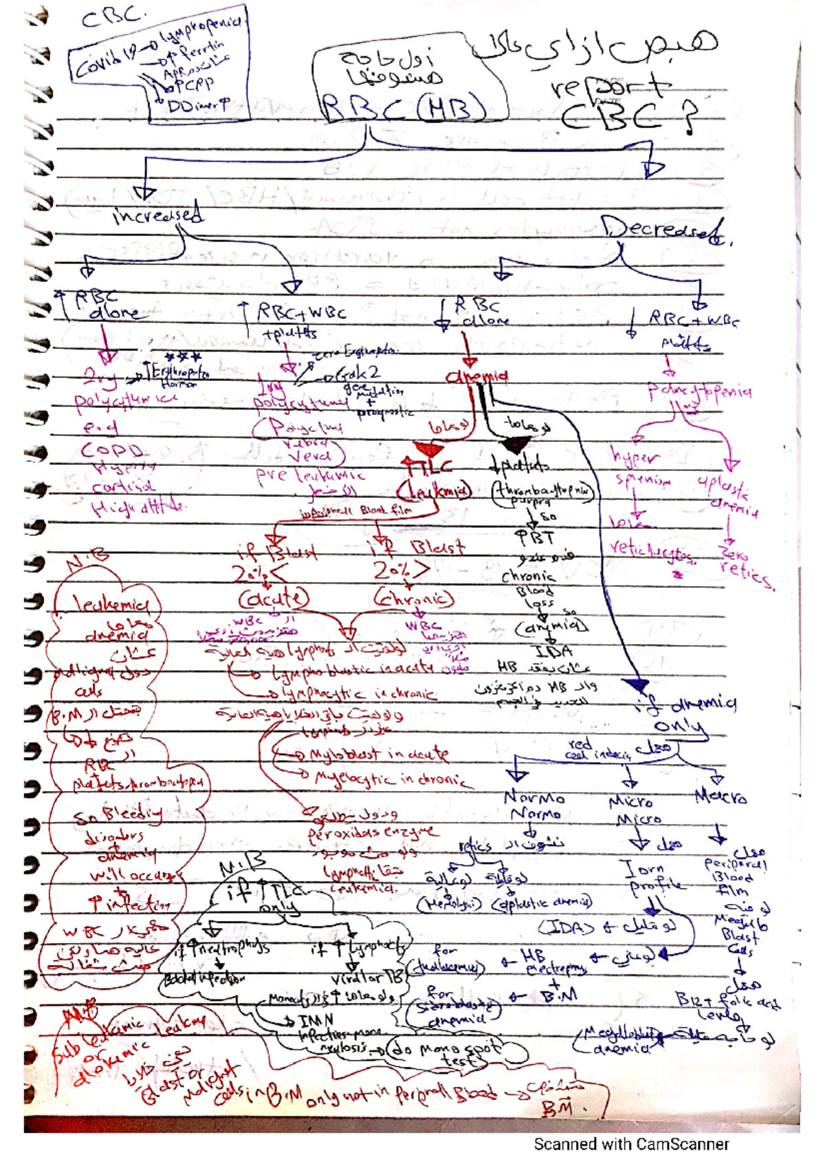 CBC reports and Hematology clinical pathology - Clinical Pathology ...