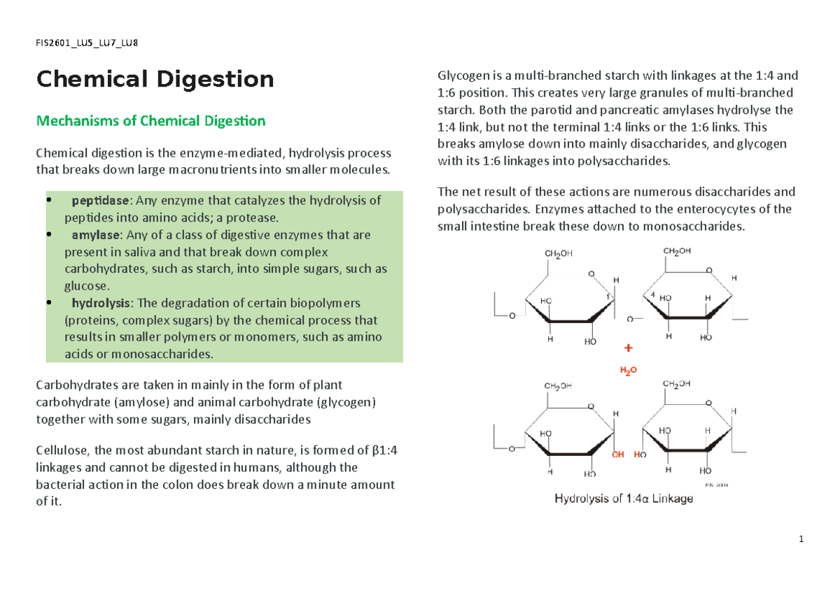 LU 5: Digestion and absorption/ LU7: Energy and the metabolic rate/ LU ...