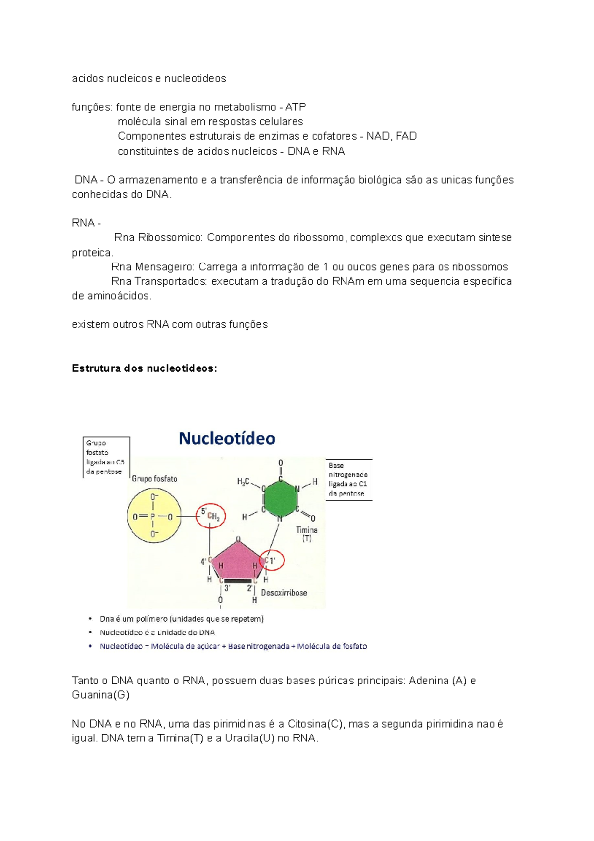 Resumo bioquimica - acidos nucleicos e nucleotideos fonte de energia no ...