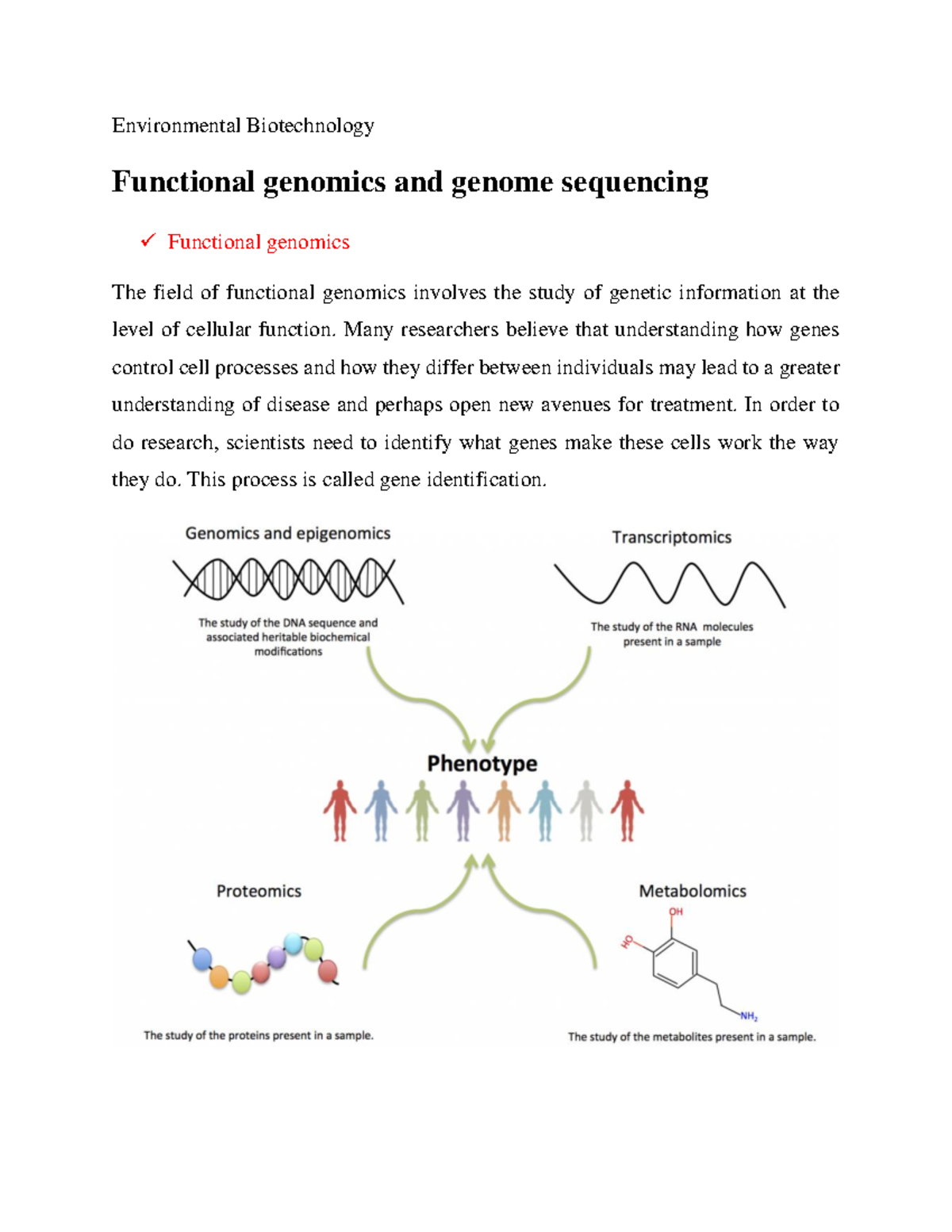 Functional genomics and genome sequencing - Environmental Biotechnology ...