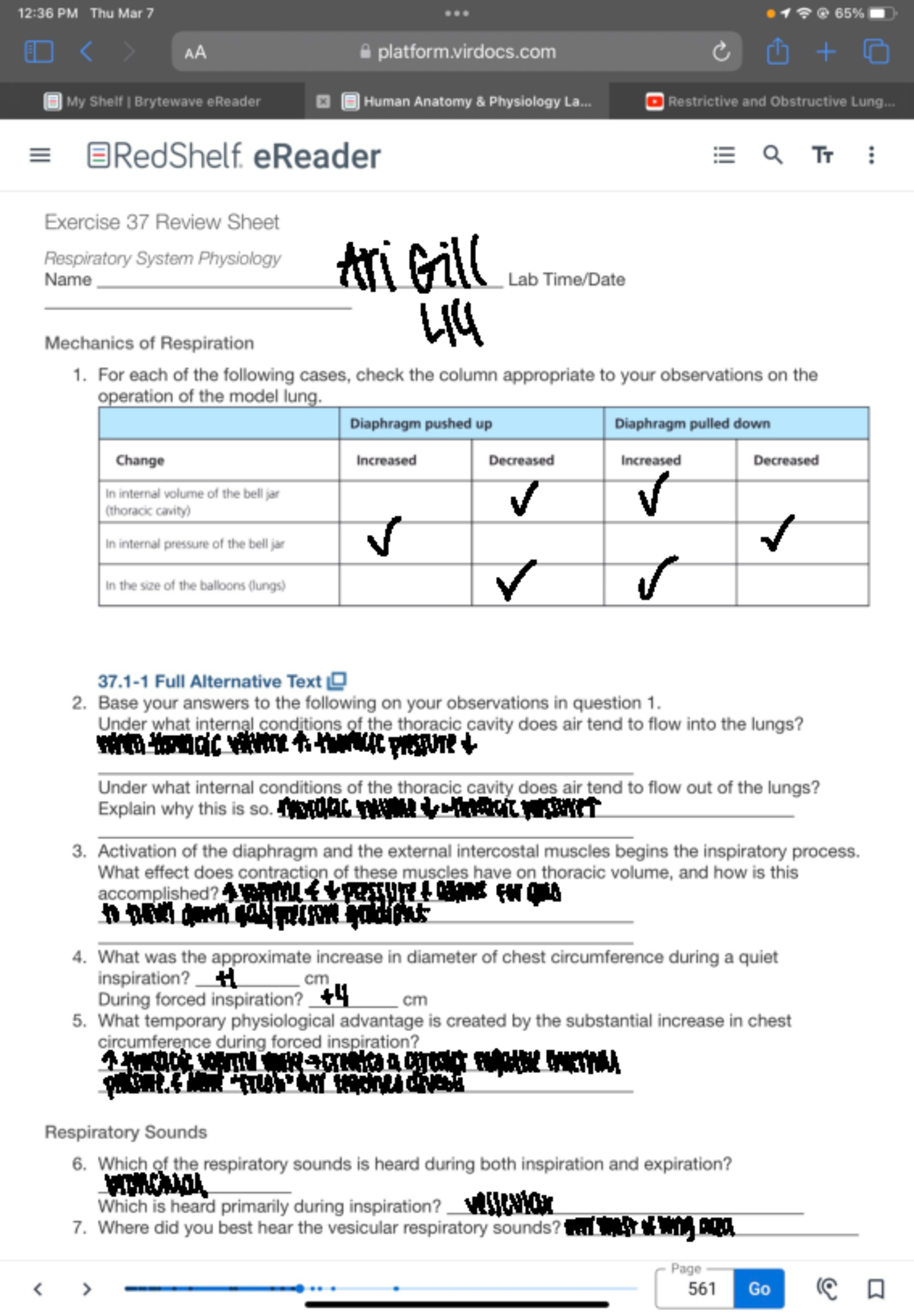 AP Lab - ap lab - AriGil) 44 V V V ~ W W When thoracic volume4 ...