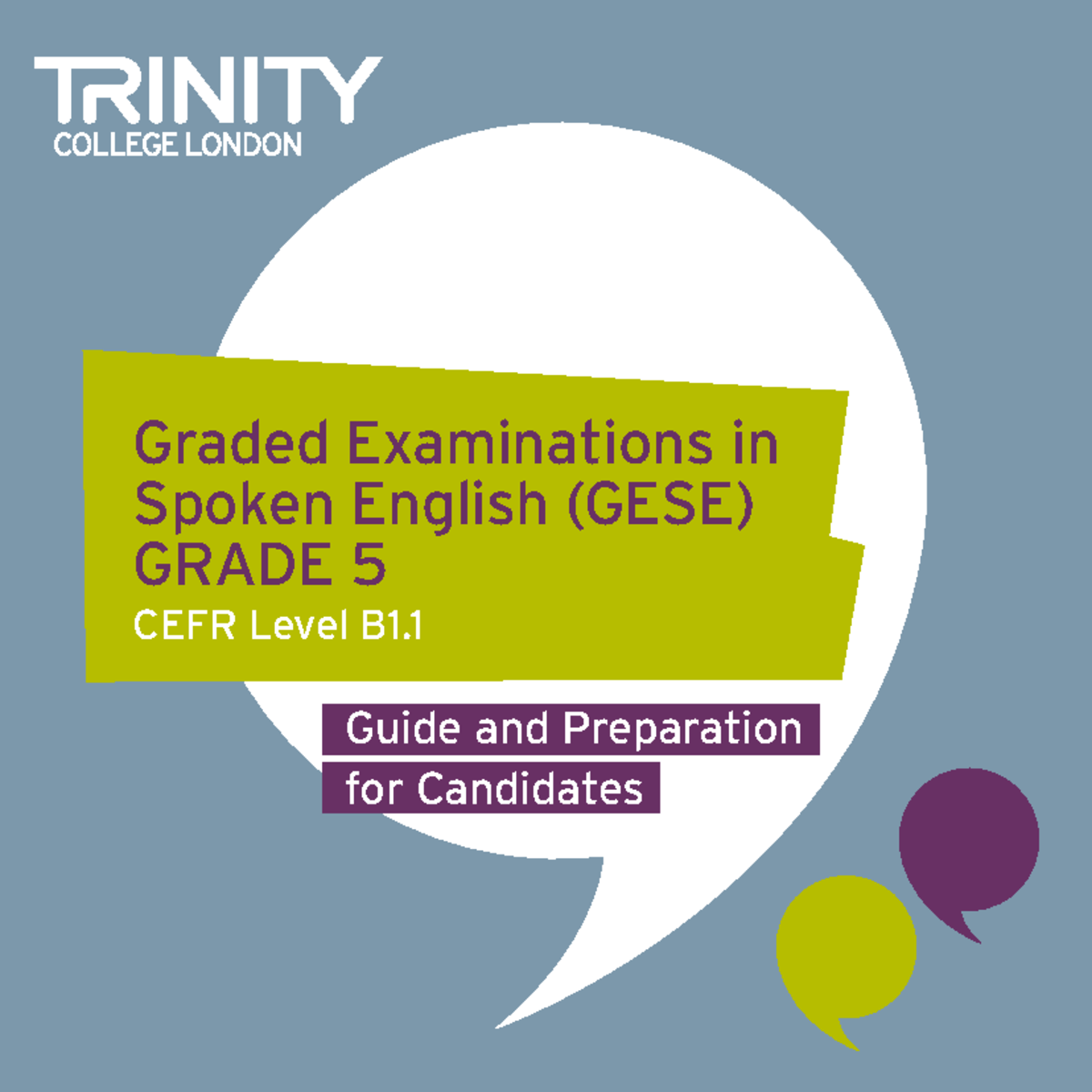 Guidance and Preparation for Candidates Leaflet - online version ...