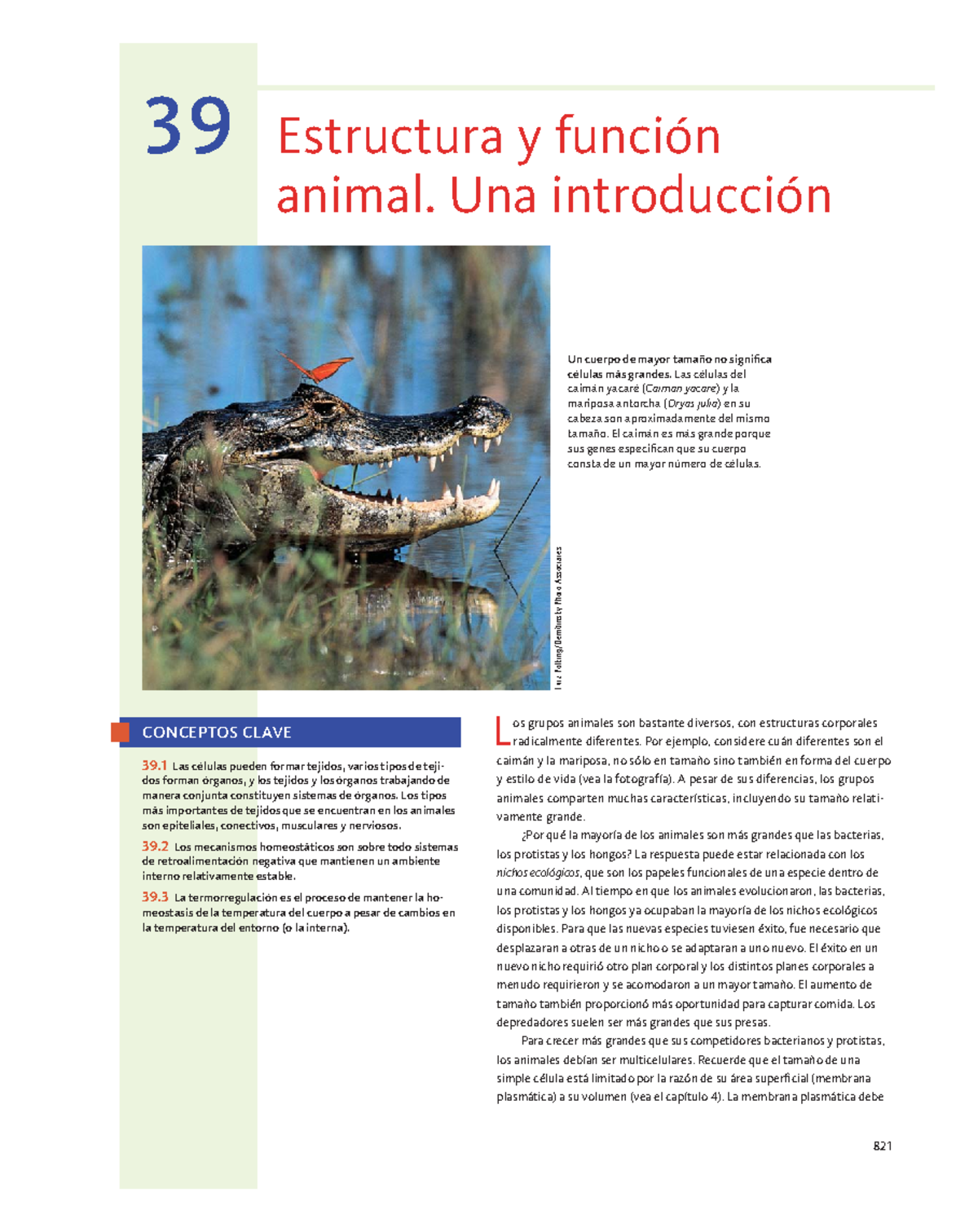 Estructura y función animal. Una introducción - ####### 821 39 ...