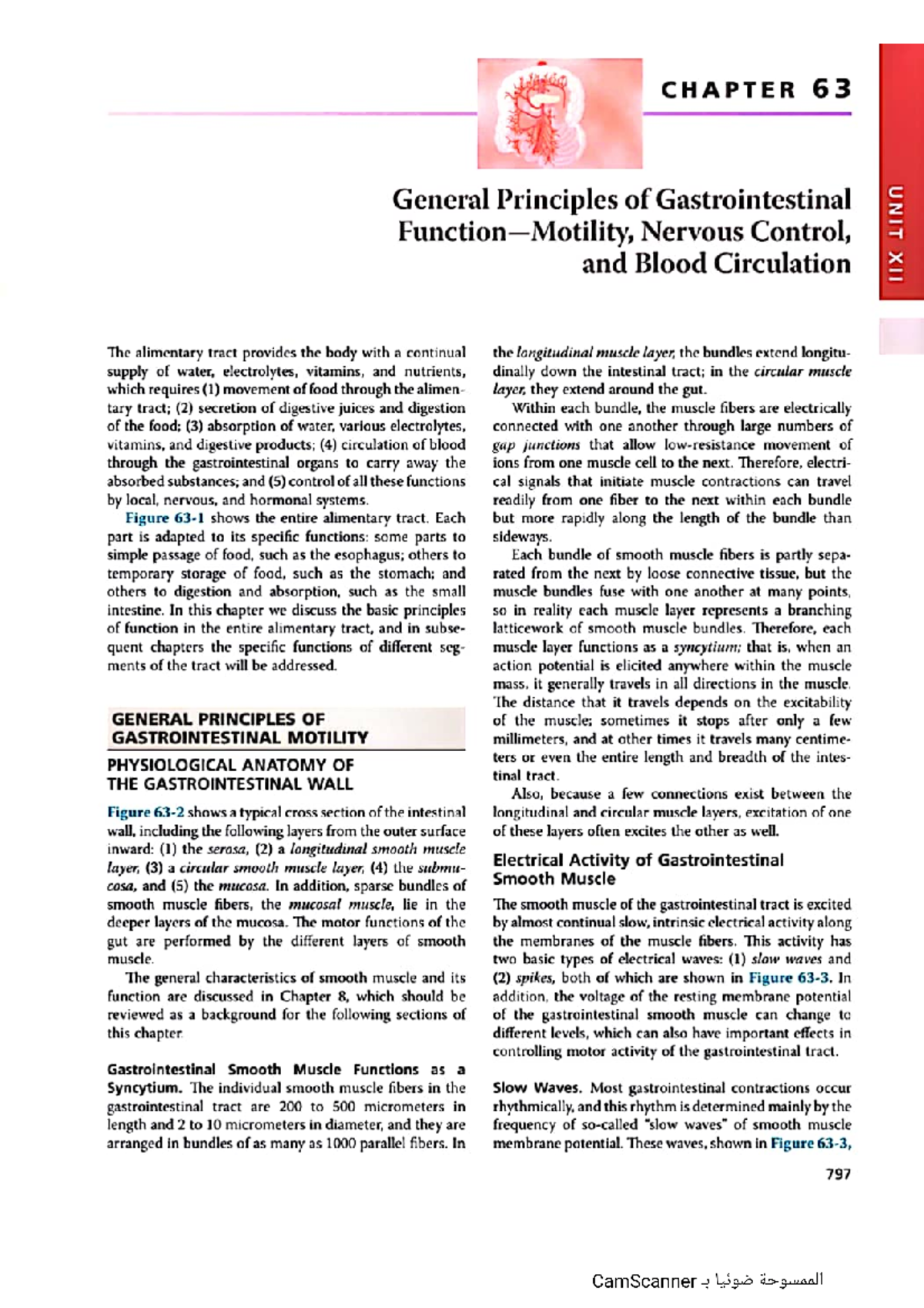 Guyton - physiology - Pathophysiology - Studocu