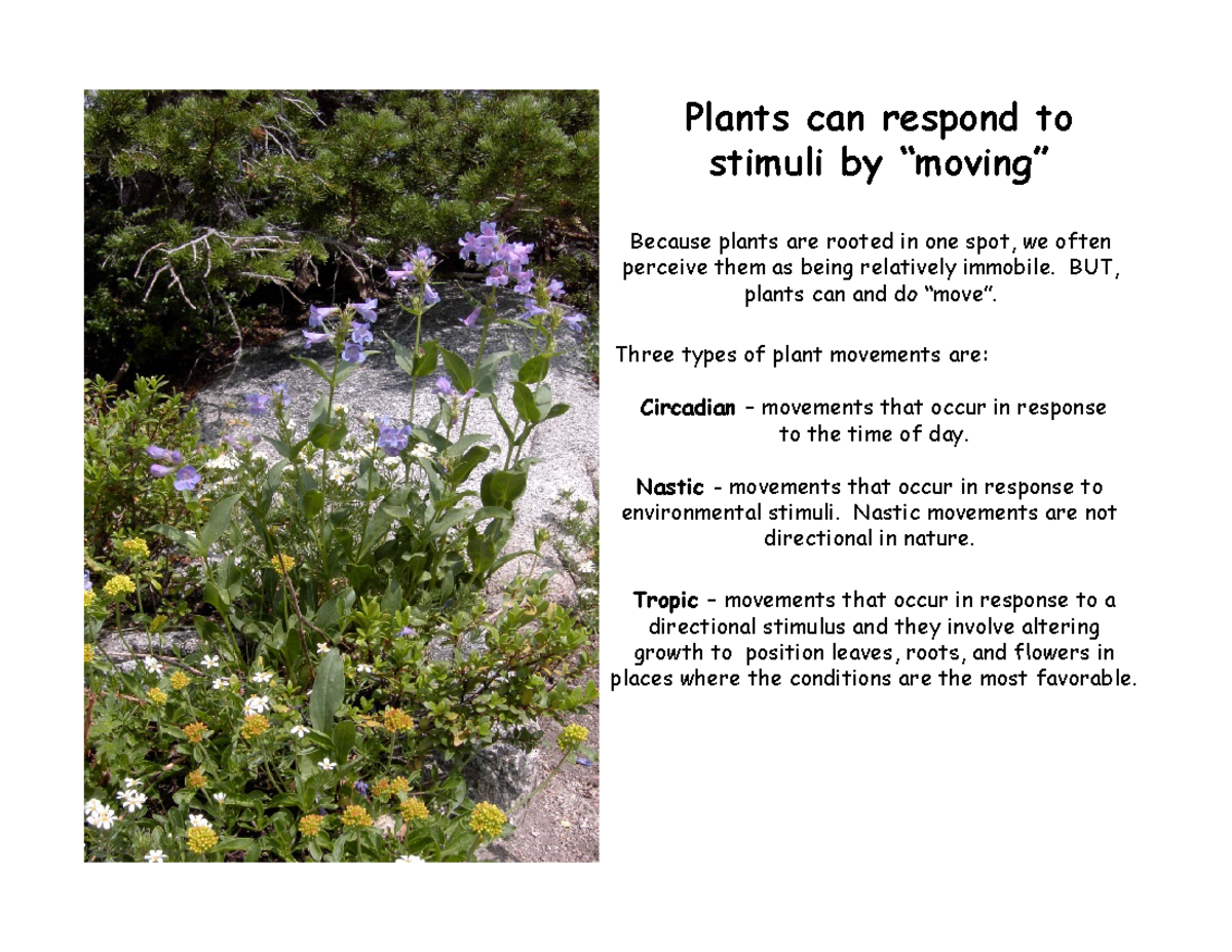 Plants respond to stimuli by moving - Plants can respond to stimuli by ...