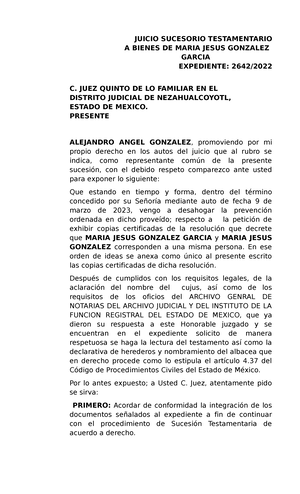 Contrato DE Mandato - MANDATO JUDICIAL QUE OTORGA EL SEÑOR JOSE SERGIO ...
