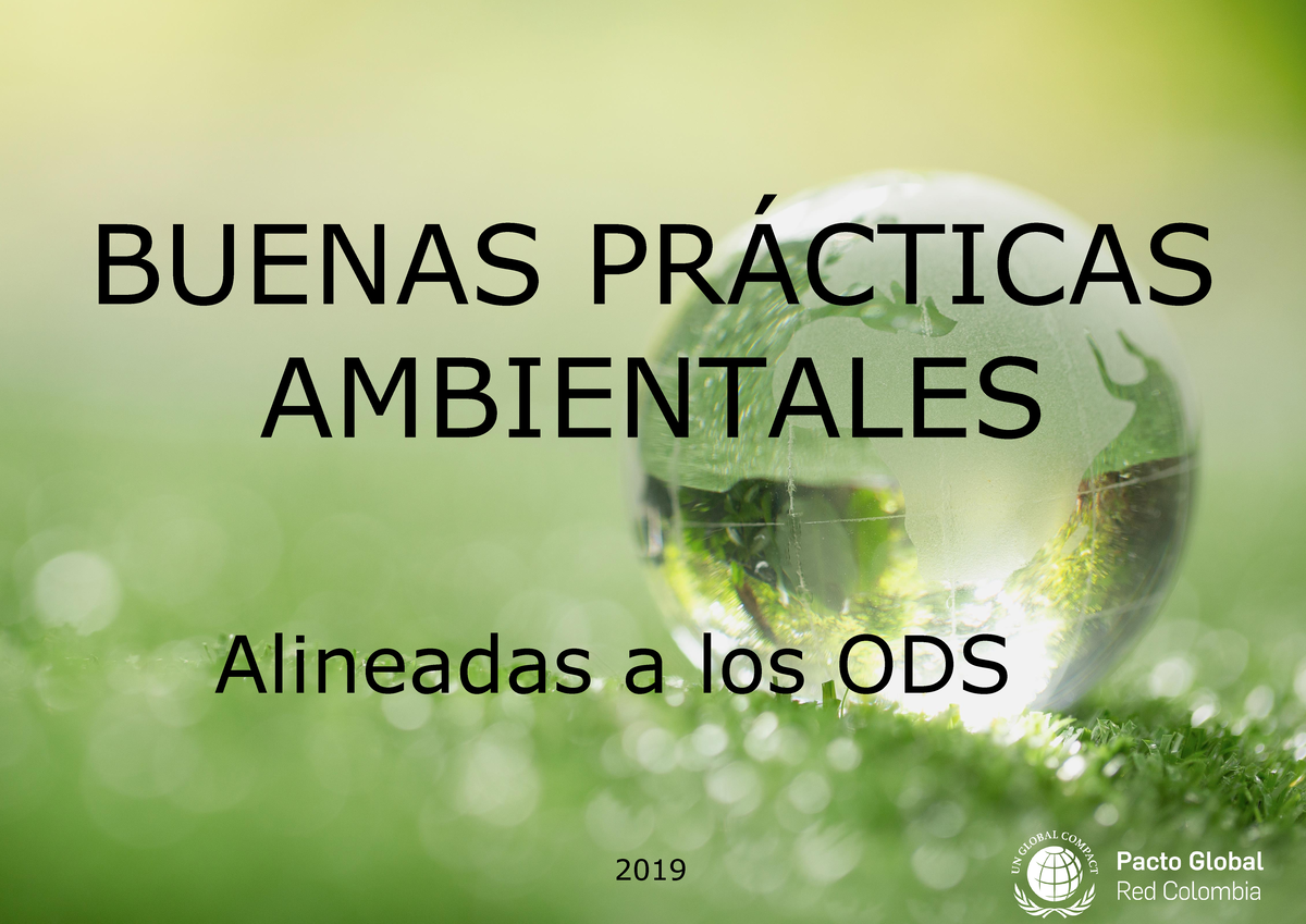 Buenas Practicas Ambientales - BUENAS PRÁCTICAS AMBIENTALES 2019 ...