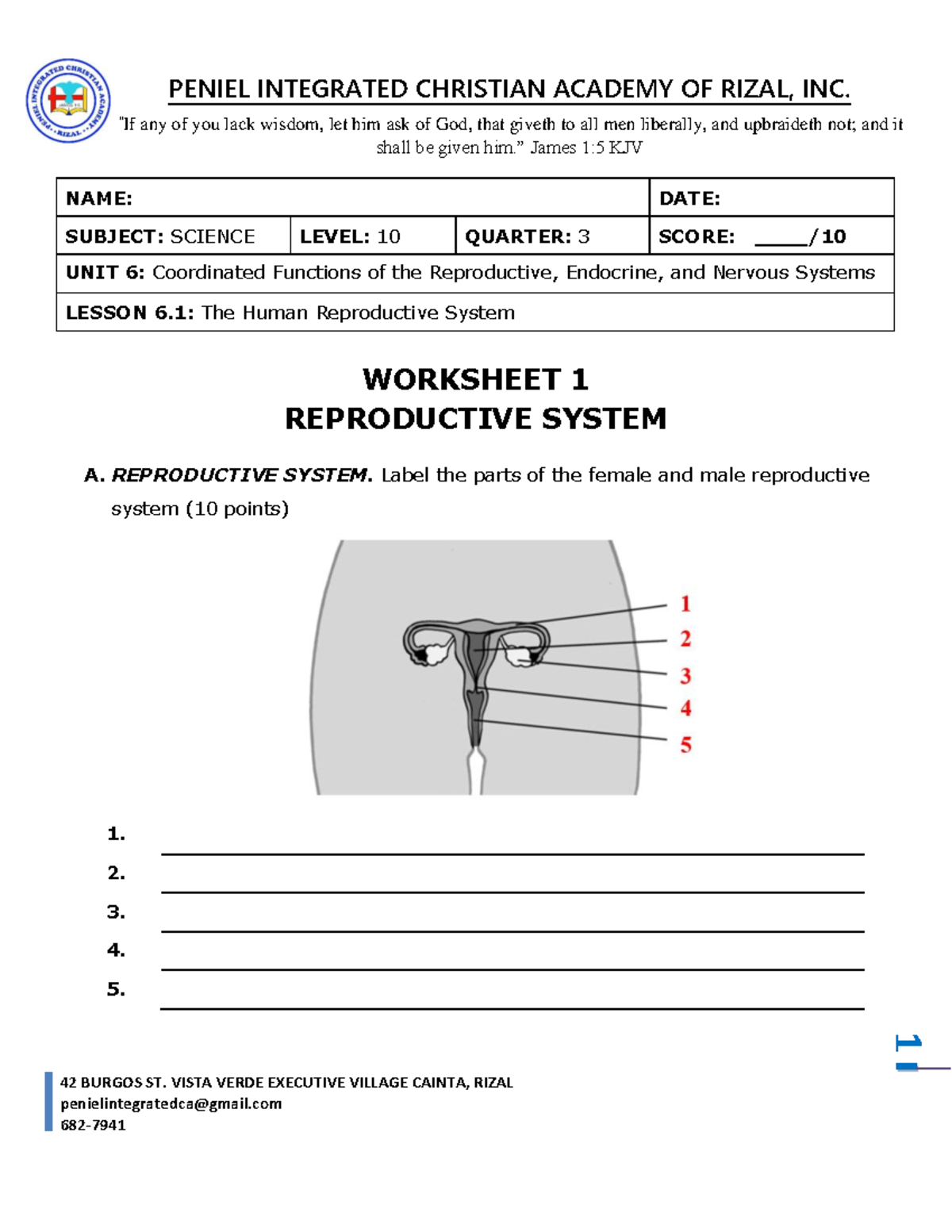 WS1Science 10.Unit6.Lesson 6.1 THE Human Reproductive System - PENIEL ...