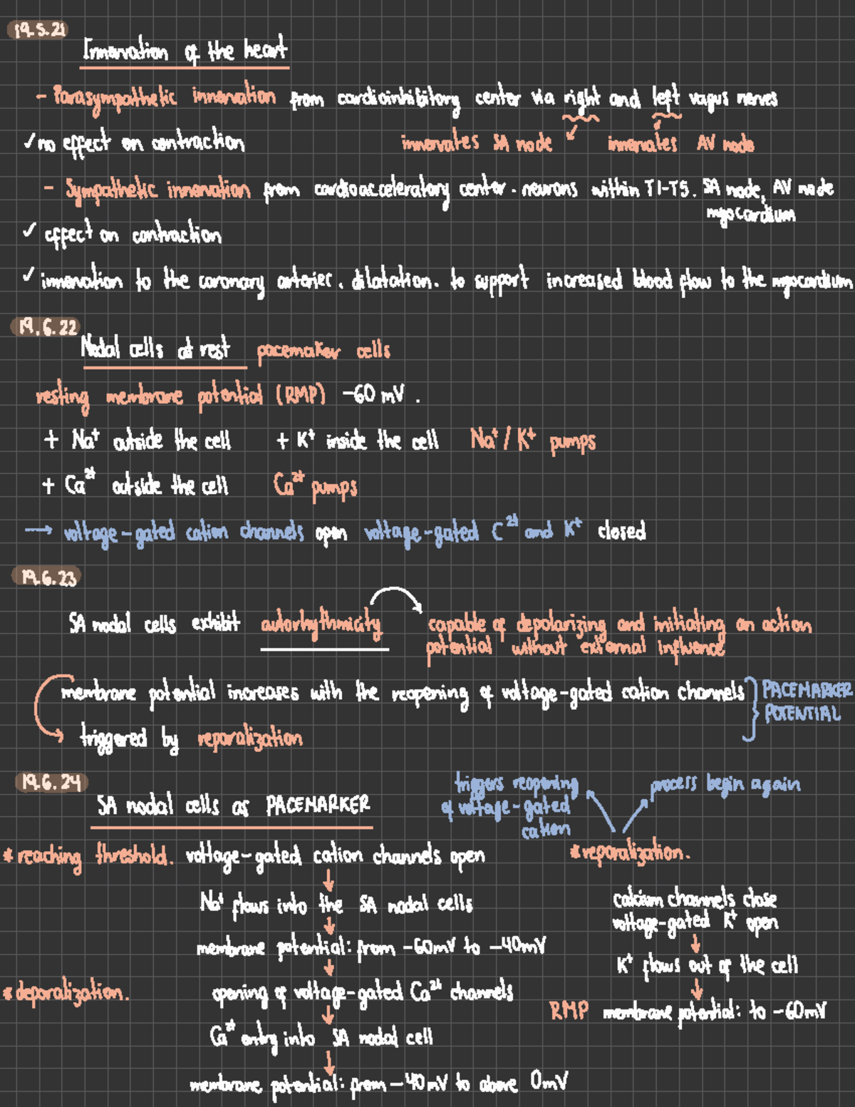 Chapter 19 - 19. Innervation of the heart Parasympathetic innervation ...