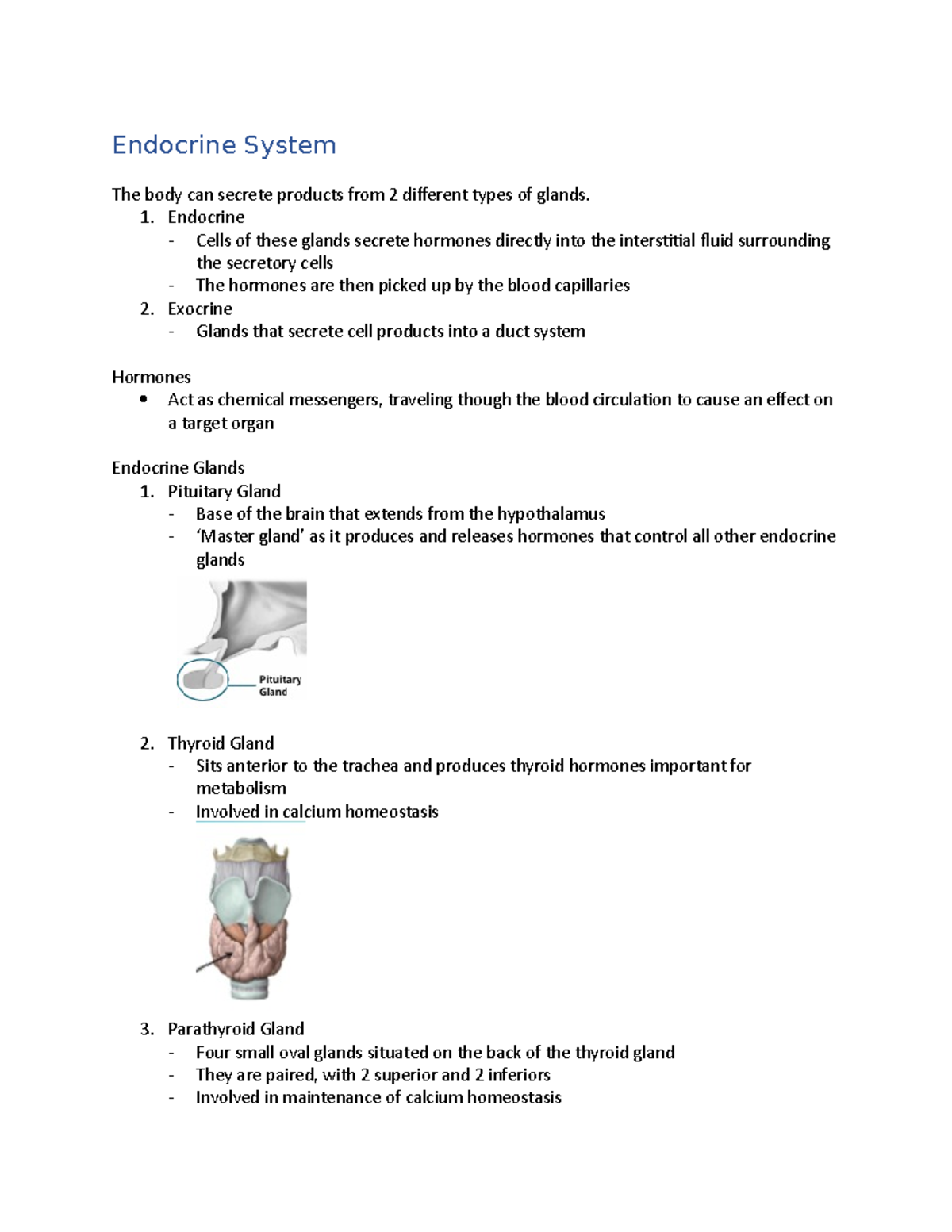 Module 7 - Endocrine System - Endocrine System The body can secrete ...