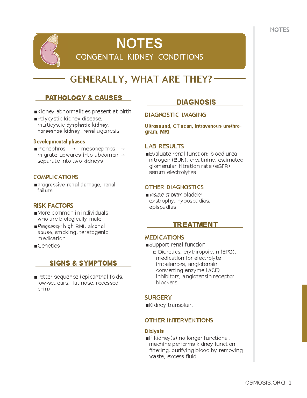 Renal conditions - ####### OSMOSIS 1 CONGENITAL KIDNEY CONDITIONS NOTES ...