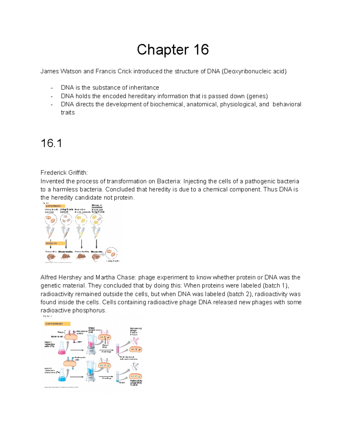 Biology Capter16 - Chapter 16 James Watson and Francis Crick introduced ...