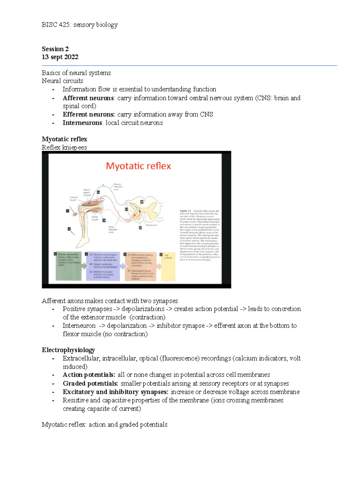 BISC 425 Midterm material - Session 2 13 sept 2022 Basics of neural ...