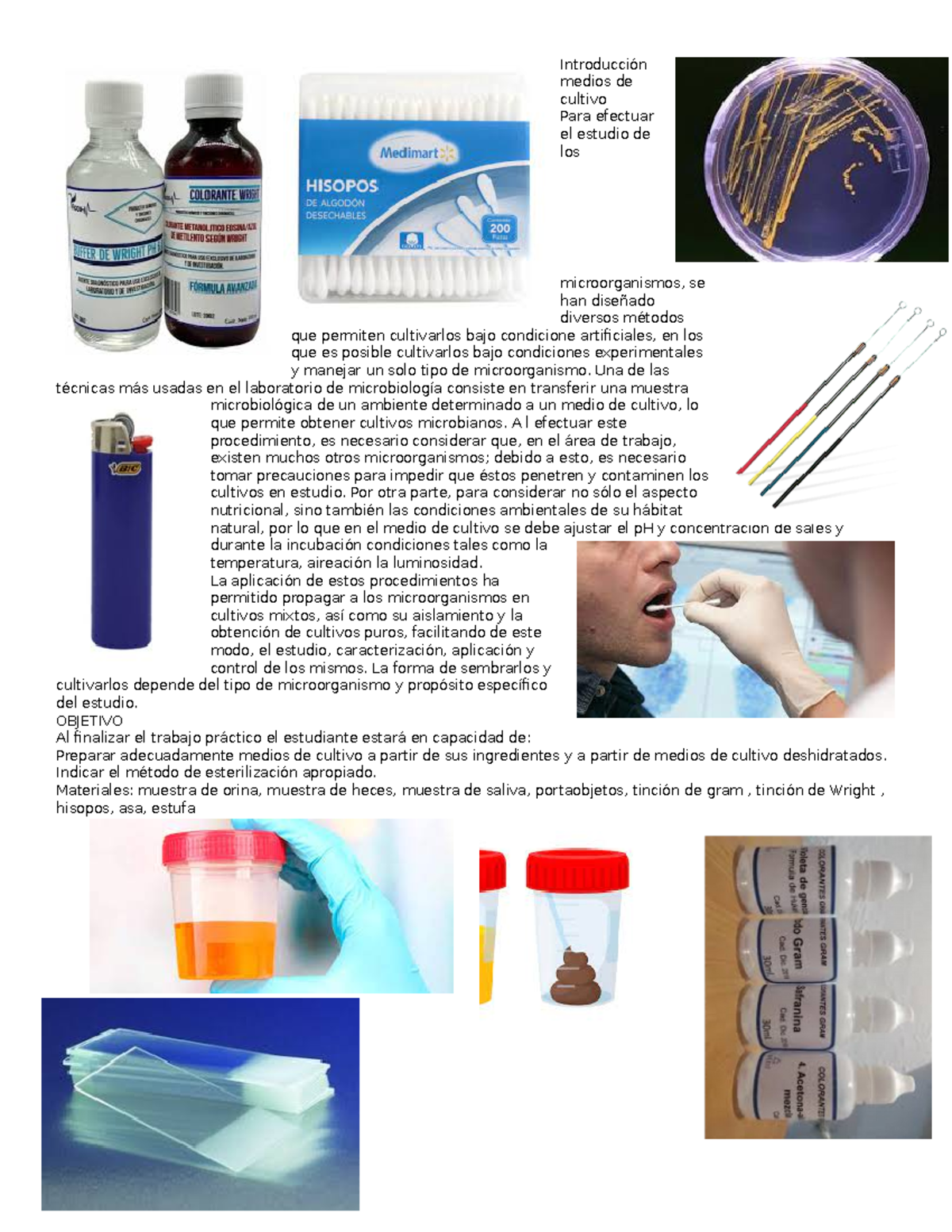 Introducción medios de cultivo - Introducción medios de cultivo Para ...