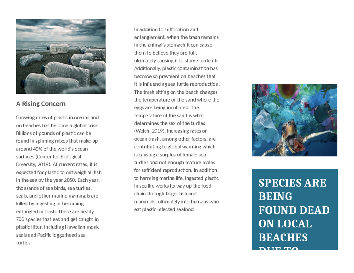 Pamphlet - topic 5 assignment - A Rising Concern Growing rates of ...