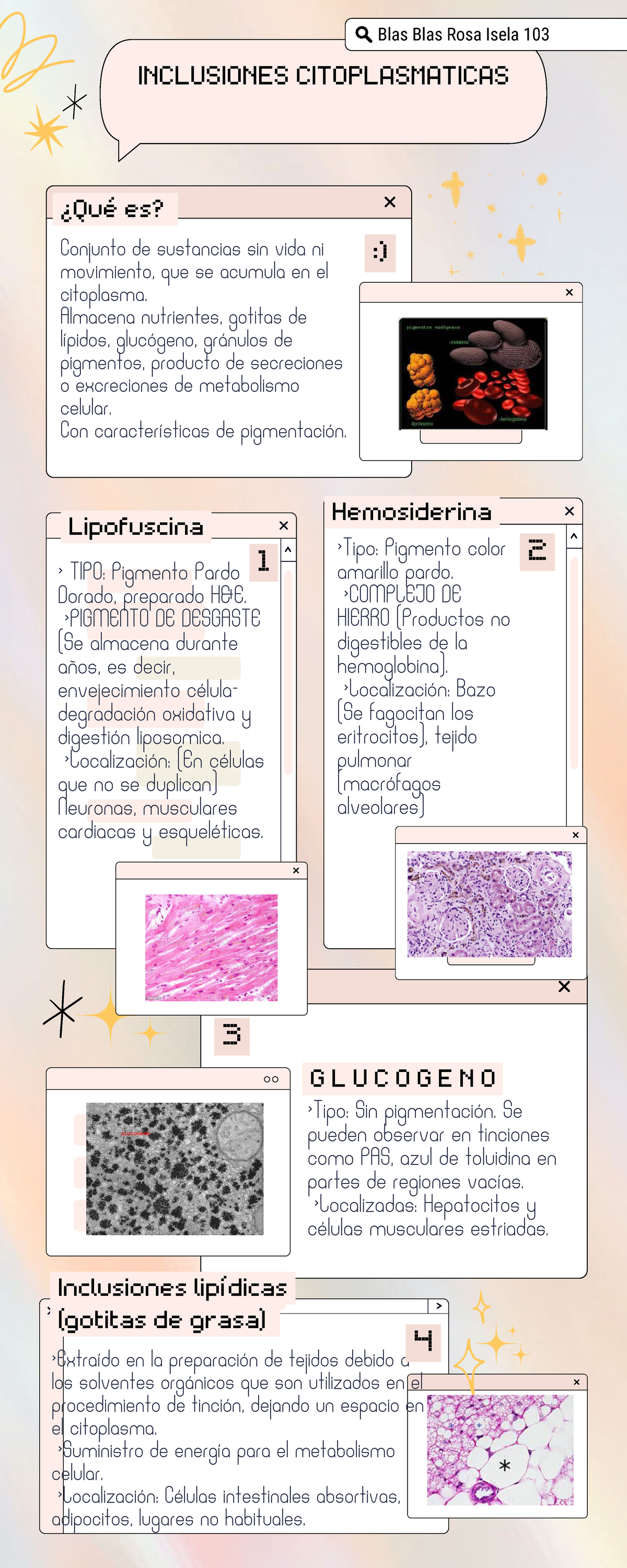 Inclusiones citoplasmáticas - ####### > TIPO: Pigmento Pardo ...