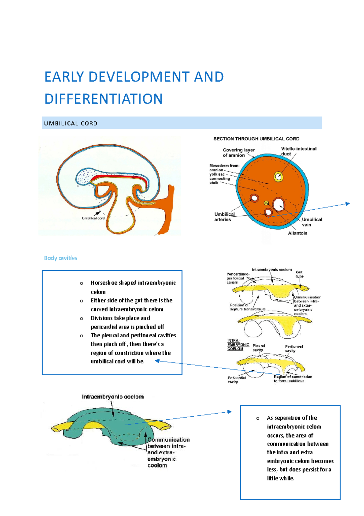 Early development and differentiation - EARLY DEVELOPMENT AND ...