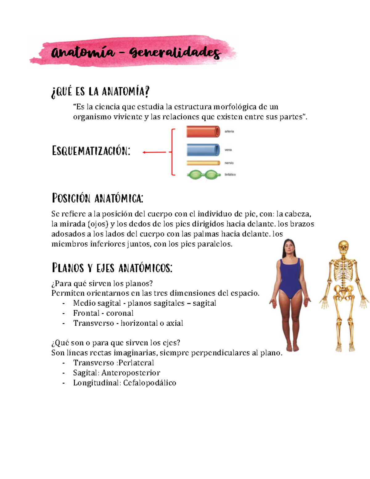 Anatomia-solemne-1 - anato - Anatomía – Generalidades ¿qué es la ...