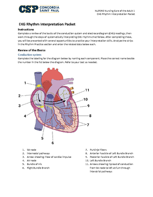 Keith RN Heart Failure Case Study - Heart Failure JoAnn Smith, 72 years ...