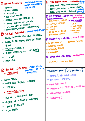 Anaphy notes 1 - human anatomy and physiology 1st year most of the ...