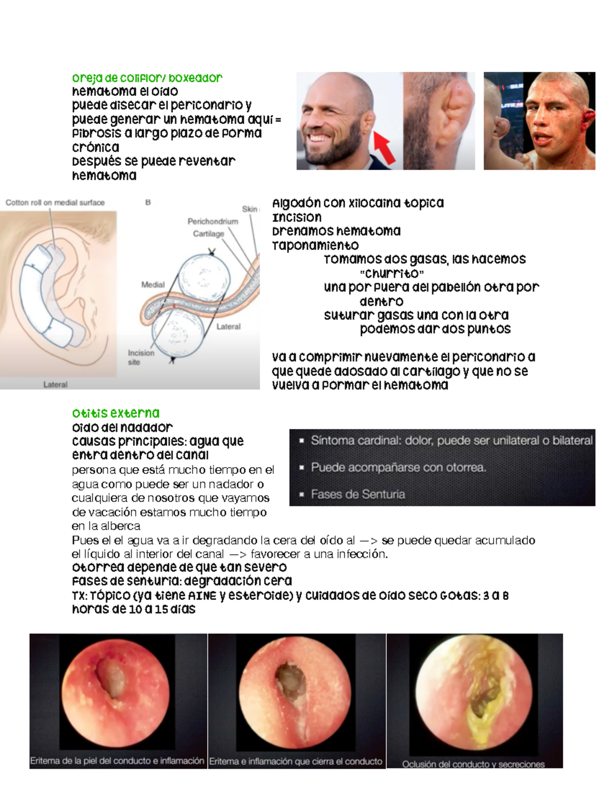 Clase 1 - Oreja de coliflor/ boxeador hematoma el oído puede disecar el ...