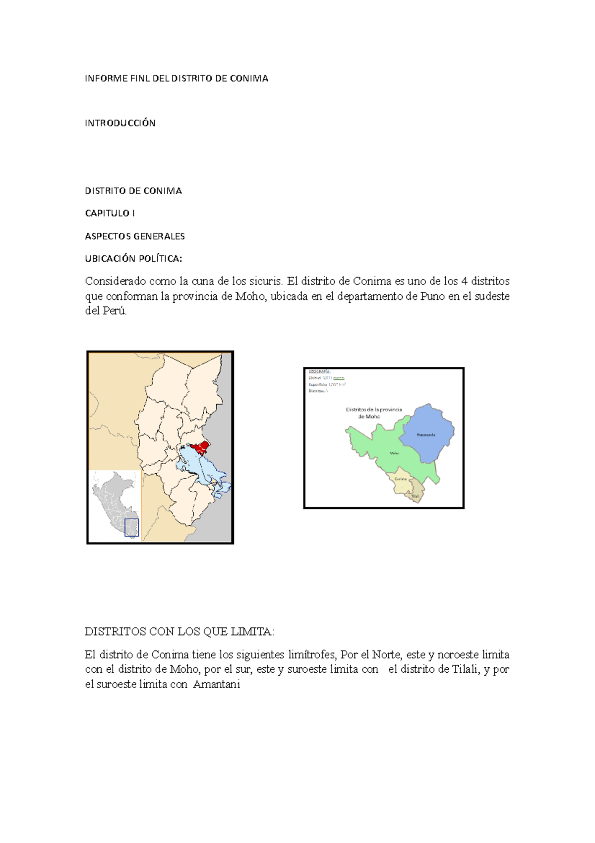 Informe FINL DEL Distrito DE Conima - INFORME FINL DEL DISTRITO DE ...
