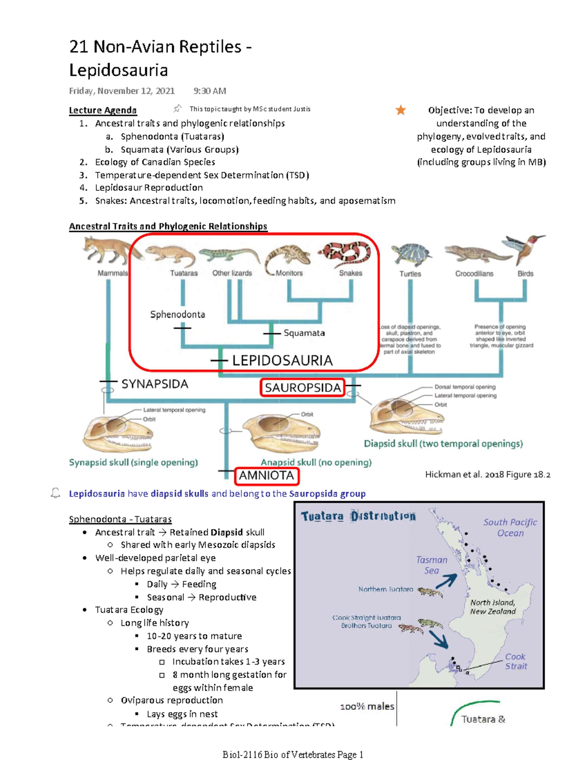 21 Non-Avian Reptiles - Lepidosauria - BIOL-2116 - U of W - Studocu