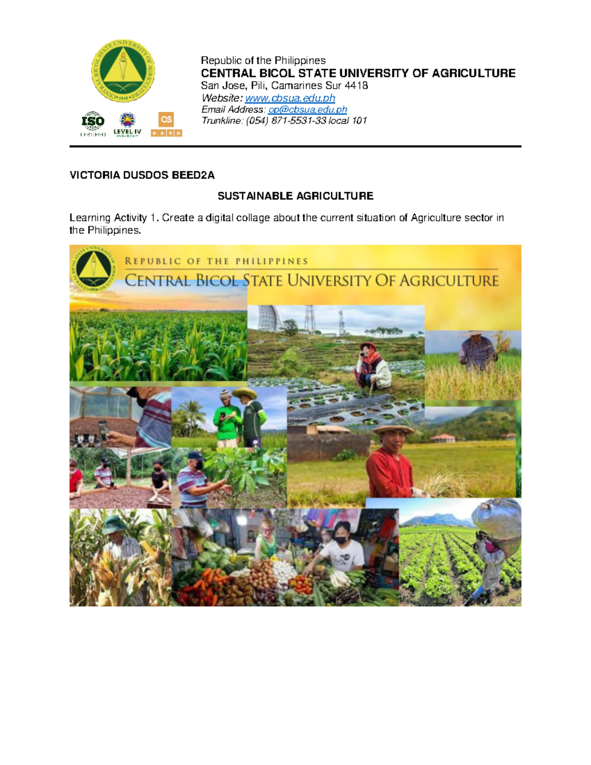 Sustainable Agriculture Learning Activity 1 - BSED - English - Republic ...