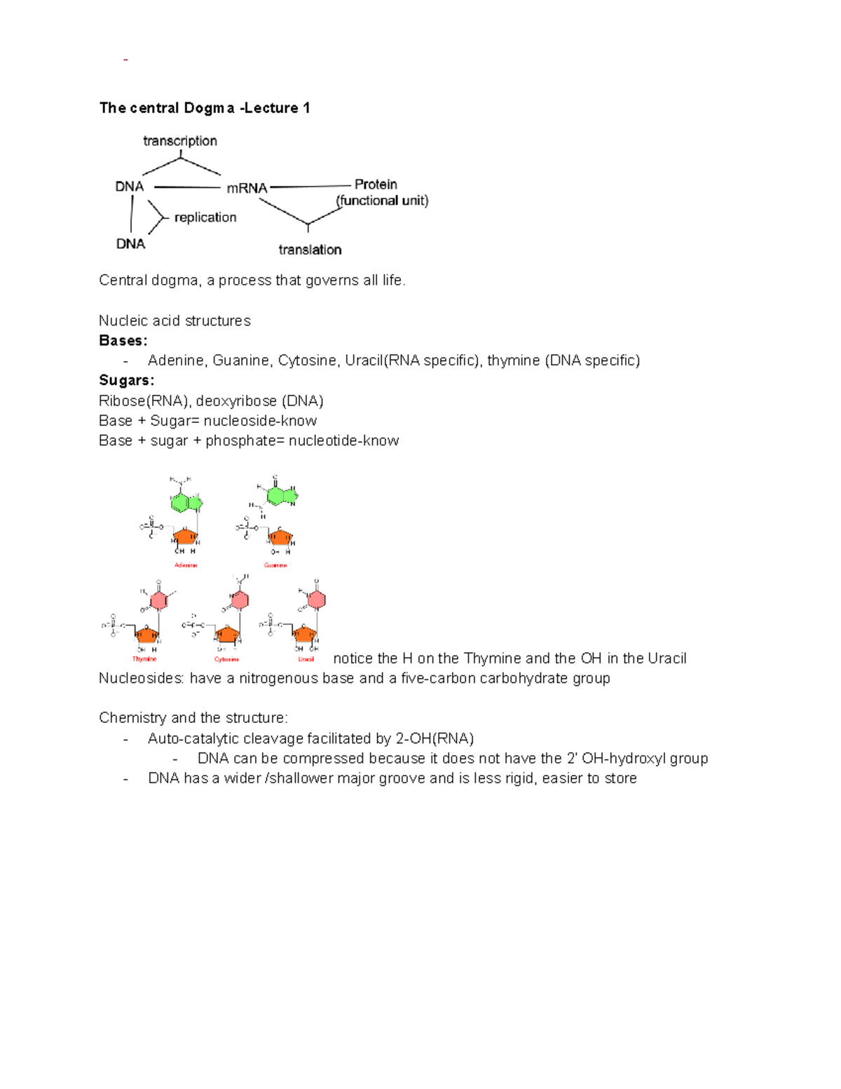 Completed Test 3-Mbio-Spring 2022 - The central Dogma -Lecture 1 ...