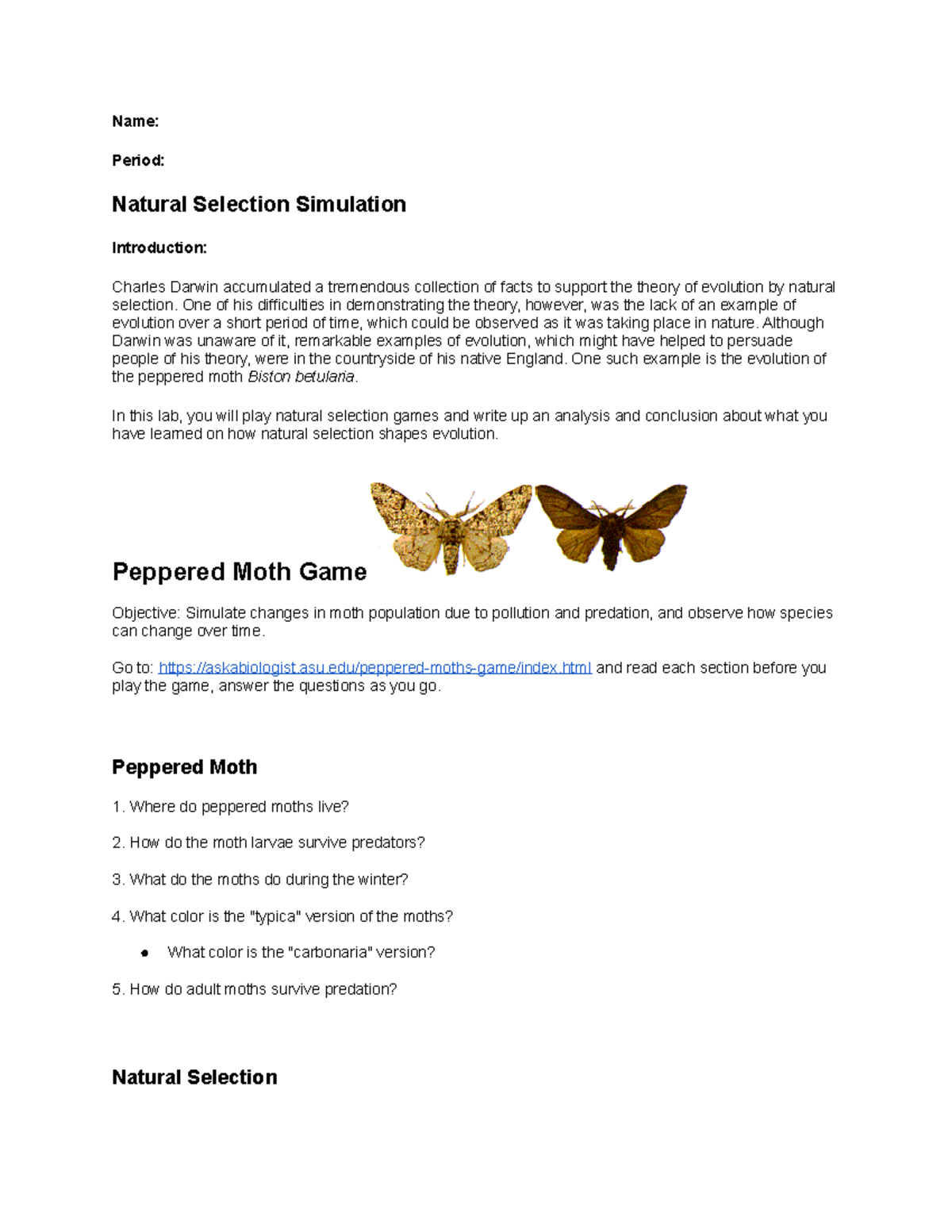 Natural Selection Simulation-1 - Name: Period: Natural Selection ...
