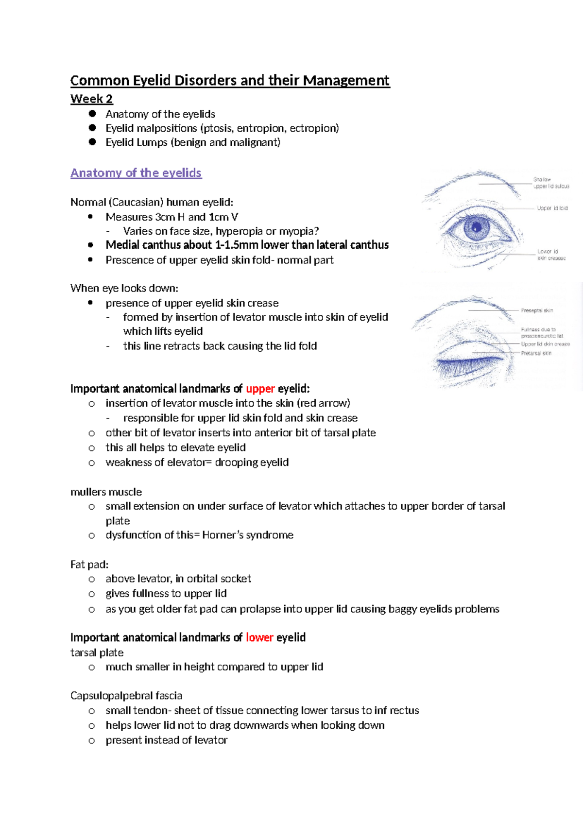 Common Eyelid Disorders and their Management - Eyelid drops down via ...