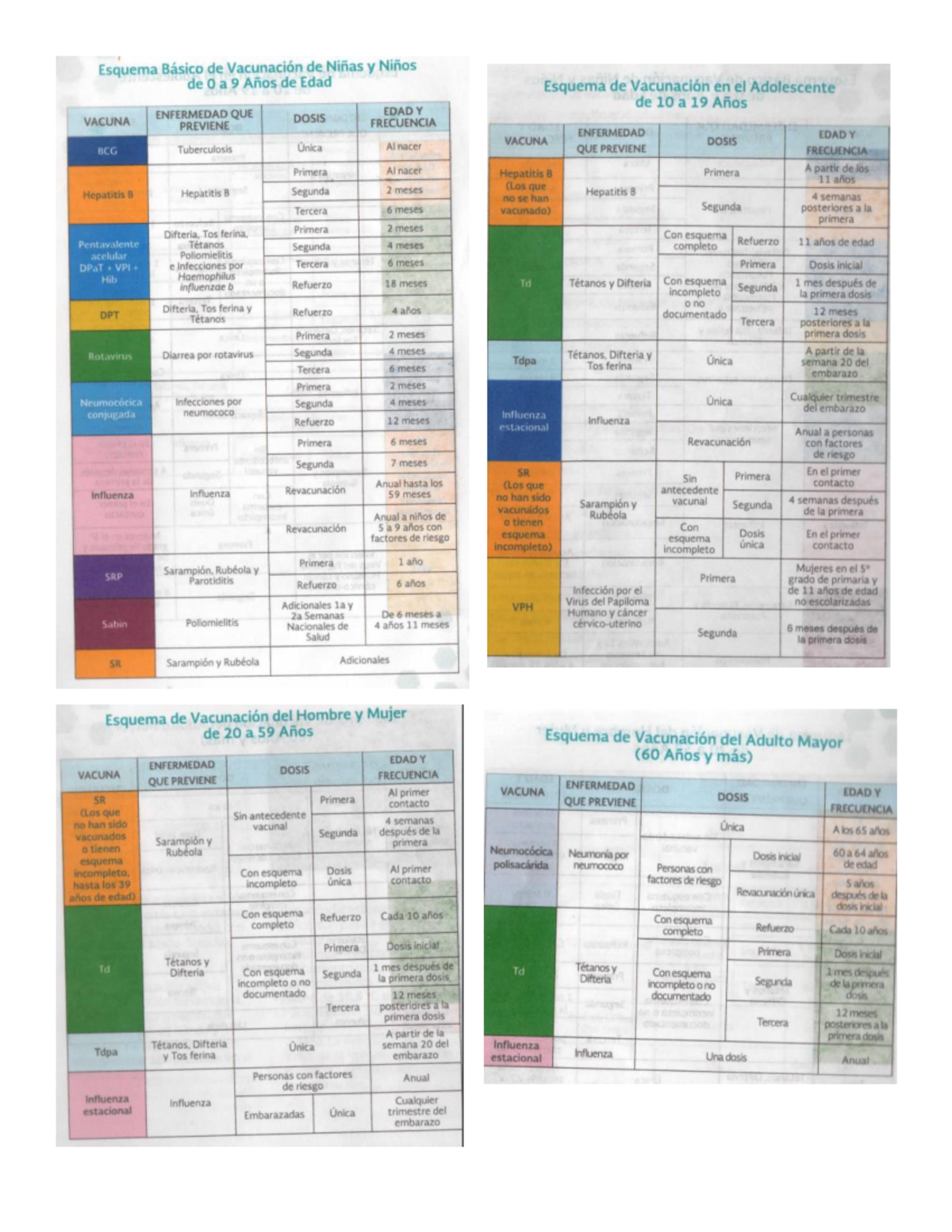 Vacunas - khkj - Esquema Básico de Vacunación de Niñas y Niños de 0 a 9 ...