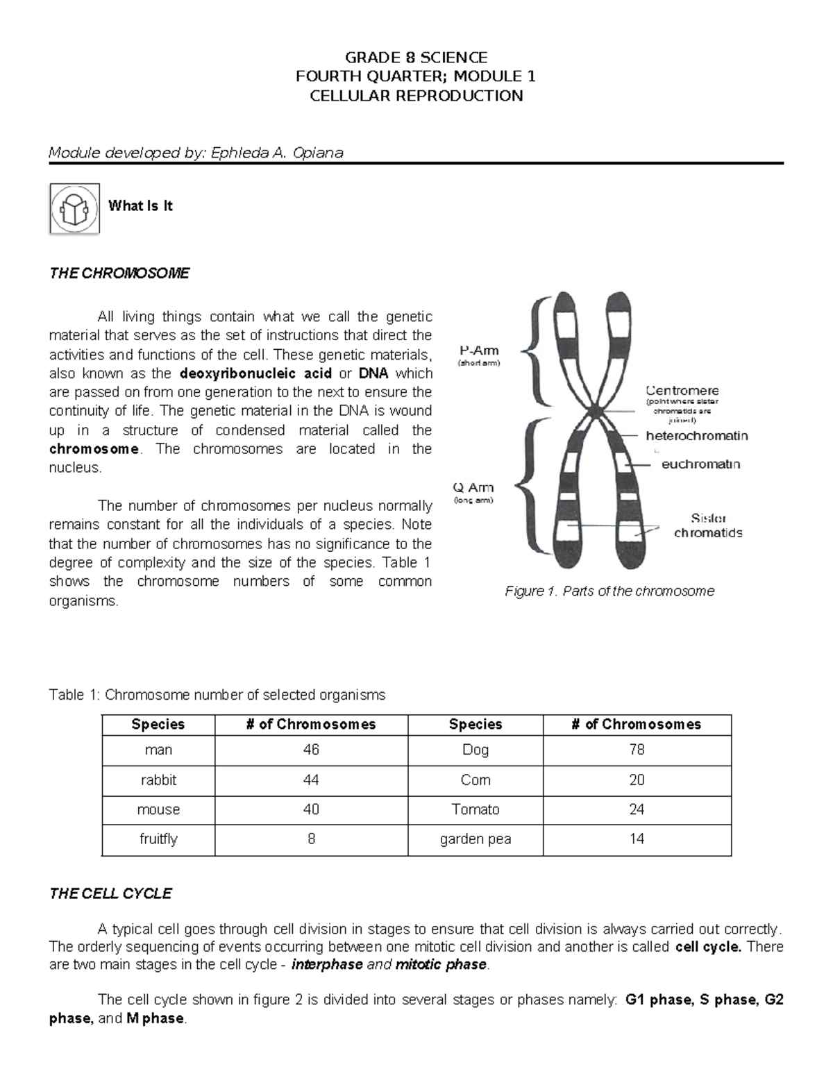 Cellular-respiration-module - GRADE 8 SCIENCE FOURTH QUARTER; MODULE 1 ...