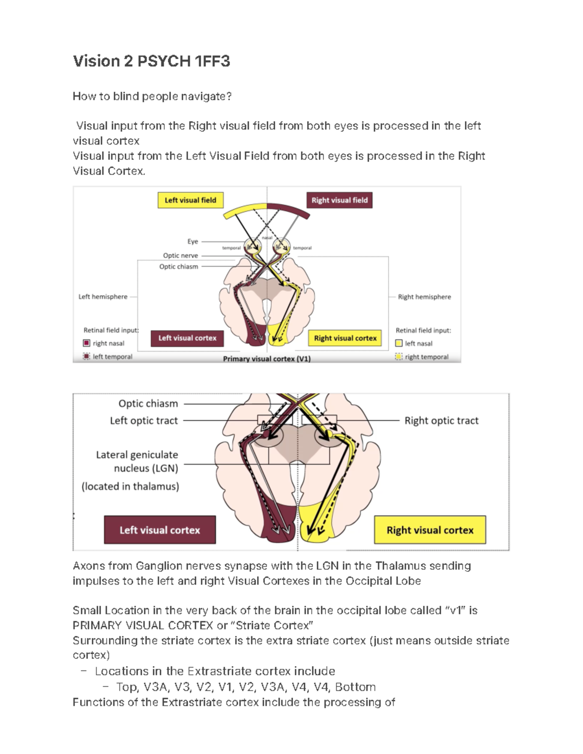 Vision 2 Psych 1FF3 - notes - – – Vision 2 PSYCH 1FF How to blind ...