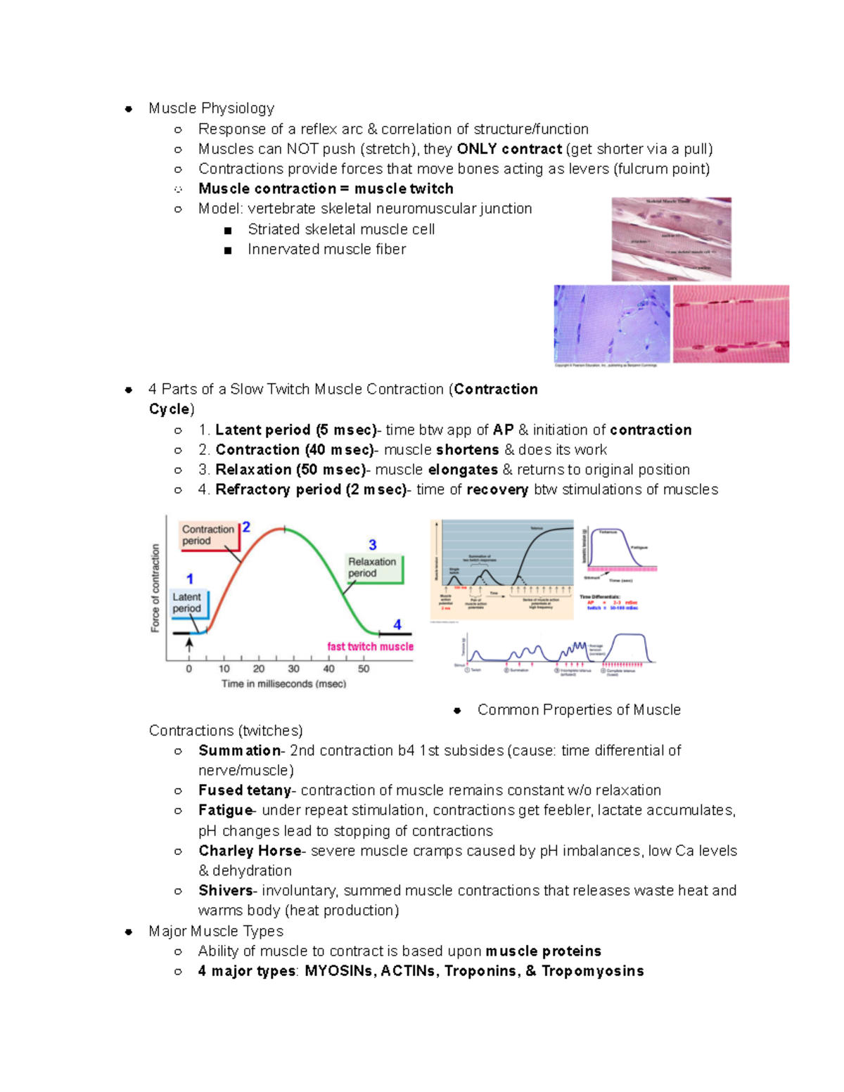 Muscle Physiology Notes - Muscle Physiology Response of a reflex arc ...