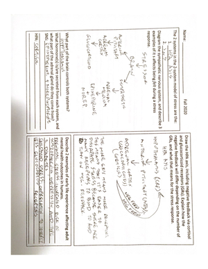 Scanned Worksheet - PSB 2000 - Studocu