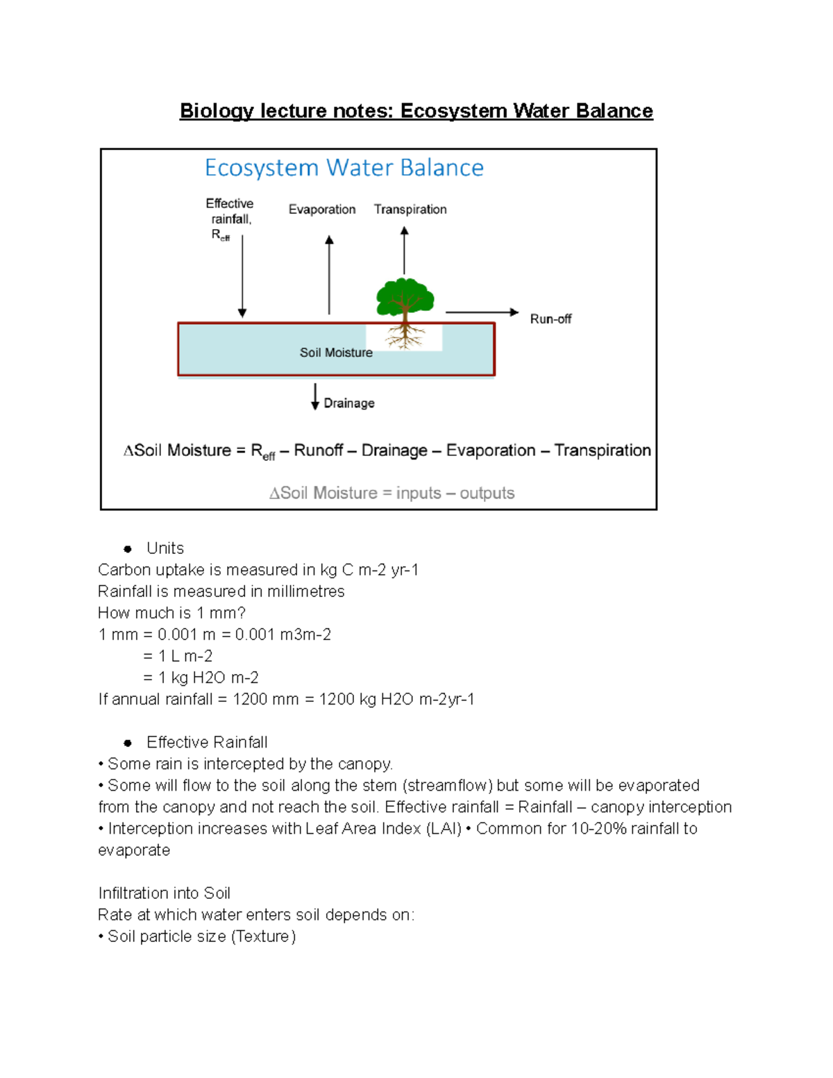 Biology lecture notes Ecosystem Water Balance - Some will flow to the ...