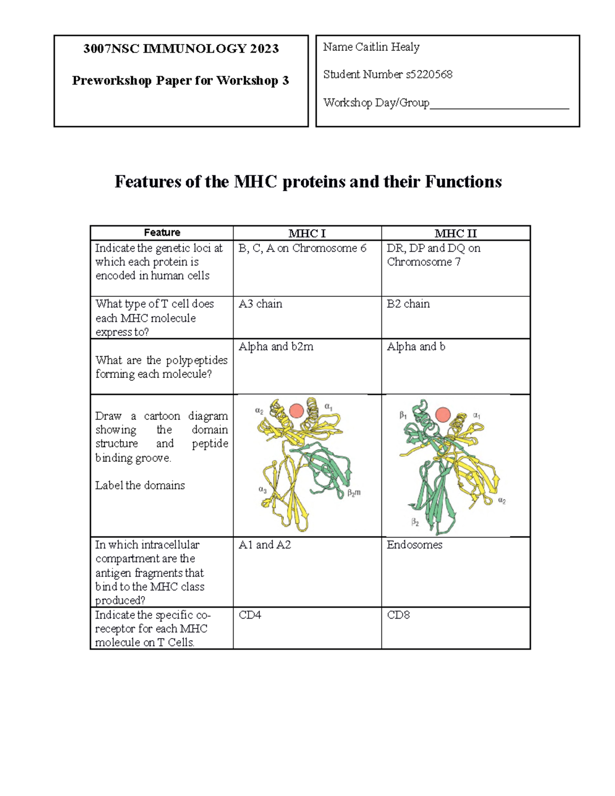 3007NSC Immunology PWS3 - Features of the MHC proteins and their ...