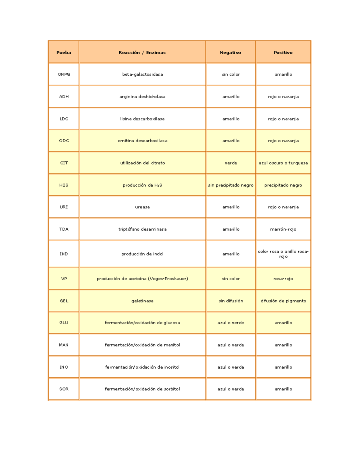 API 20E - Reacciones API - Pueba Enzimas Negativo Positivo ONPG sin ...